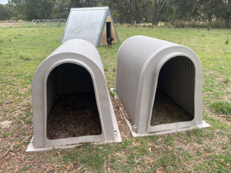 Lot 32 - ANIMAL SHELTER RAPID PLAS POLLY. | AuctionsPlus