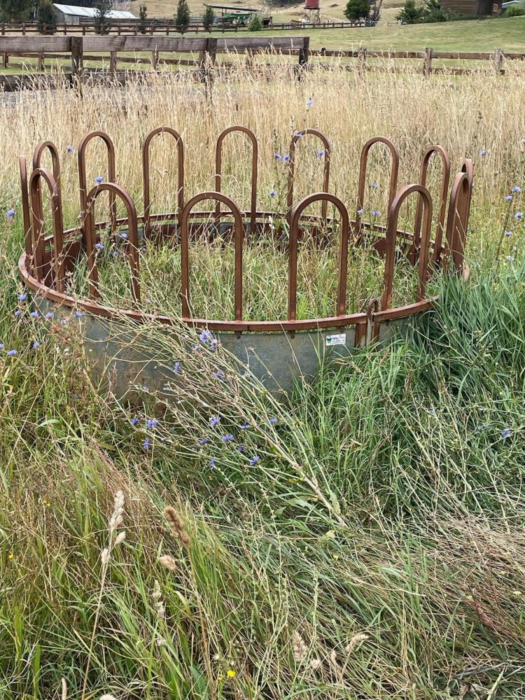 Lot 77 - Hay Ring Feeders x 4 | AuctionsPlus
