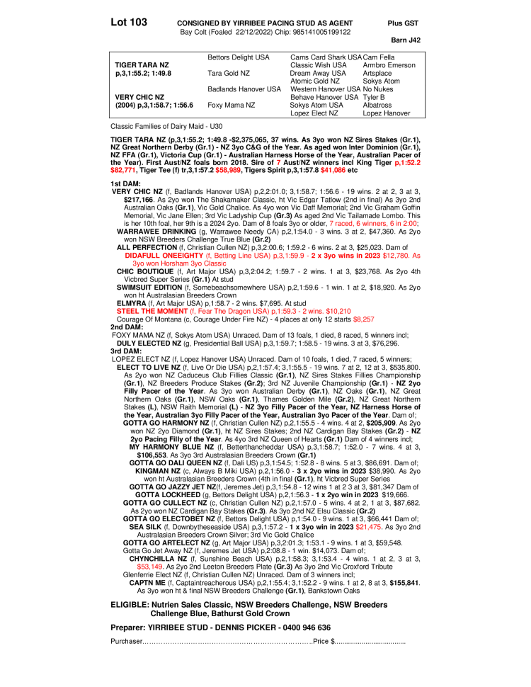 Lot 103 - 2022 COLT OUT OF VERY CHIC NZ | AuctionsPlus