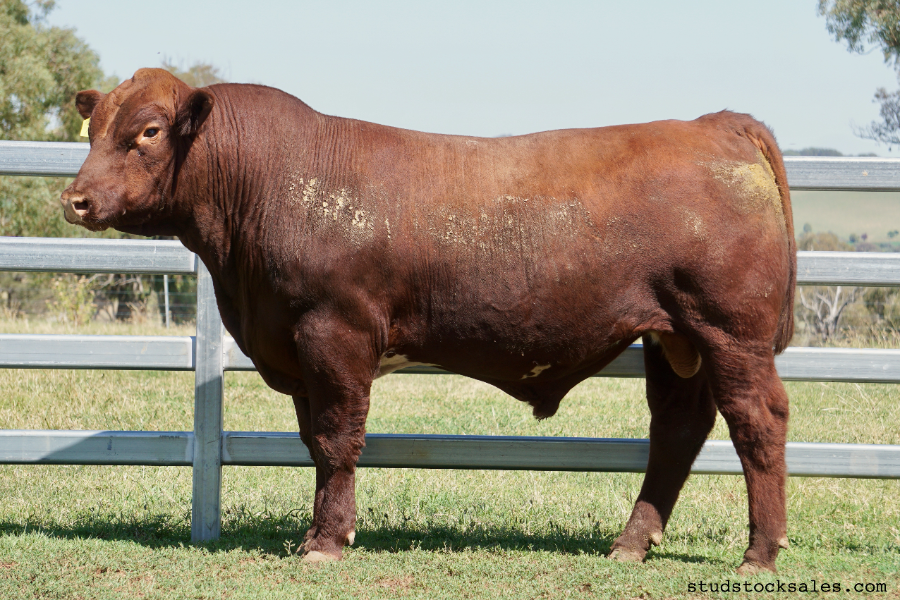 Lot 12 - TROJON T28 | AuctionsPlus