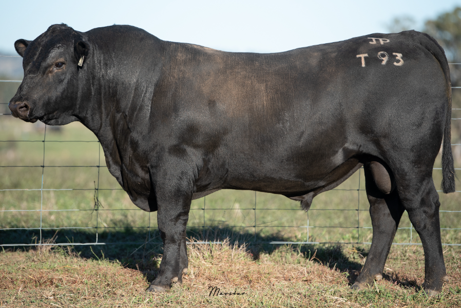 Lot 31 - JADE PARK TRAIN T93 | AuctionsPlus