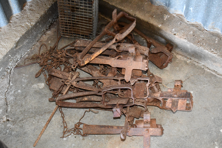 Lot 165 - Antique rabbit traps | AuctionsPlus