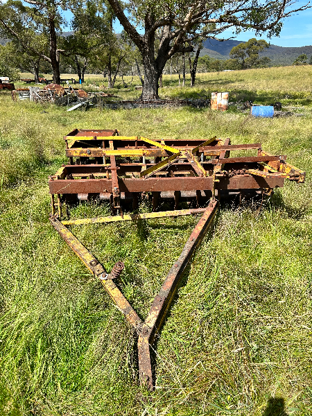 Lot 65 - CONNOR SHEA BABY GIANT. | AuctionsPlus