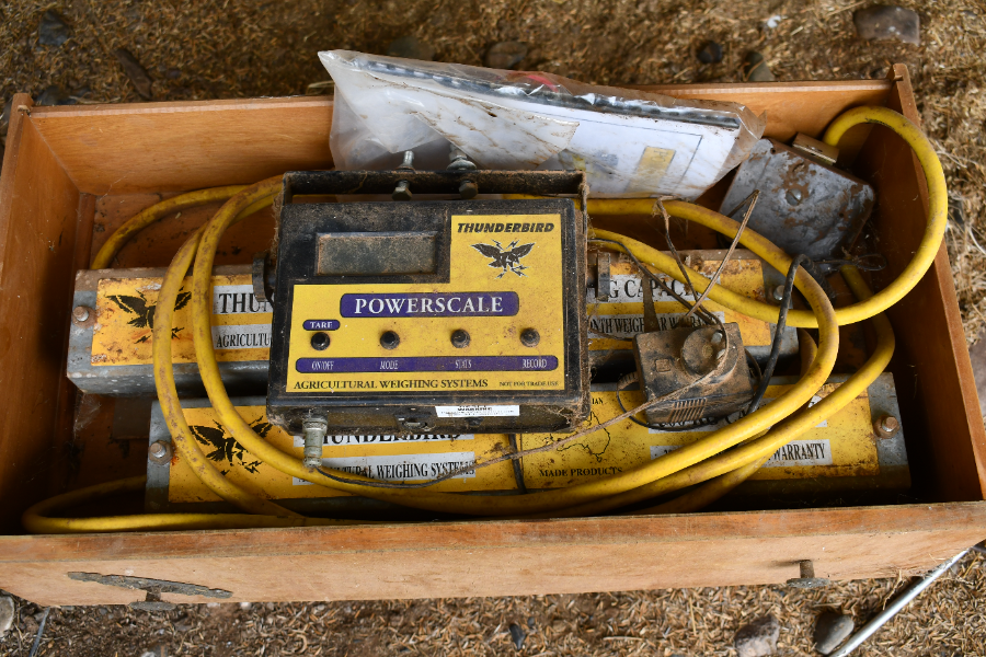 Lot 60 - Thunderbird Powerscale electronic scales | AuctionsPlus
