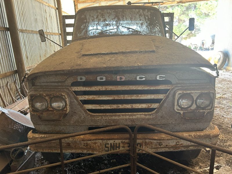 Lot 204 - Dodge 690 | AuctionsPlus
