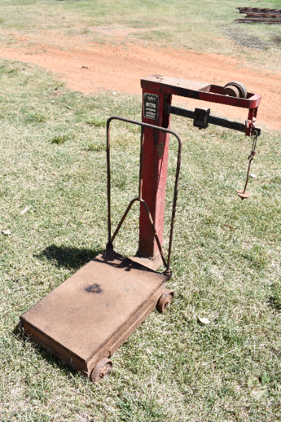 Lot 113 - Avery platform scales | AuctionsPlus