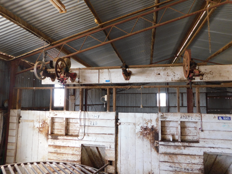 Lot 112 - 2 X 1 LISTER overhead shaft gear shearing plants | AuctionsPlus