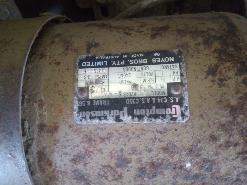 Lot 35 - Shearing Plants - Golden lister | AuctionsPlus