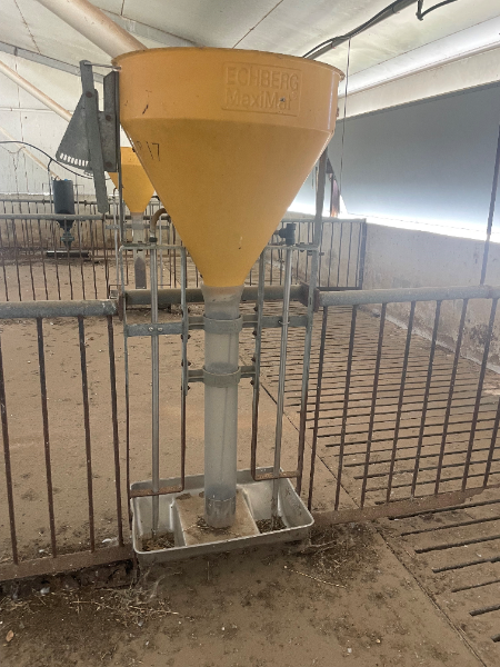 Lot 50 - 8 x Pig feeders | AuctionsPlus
