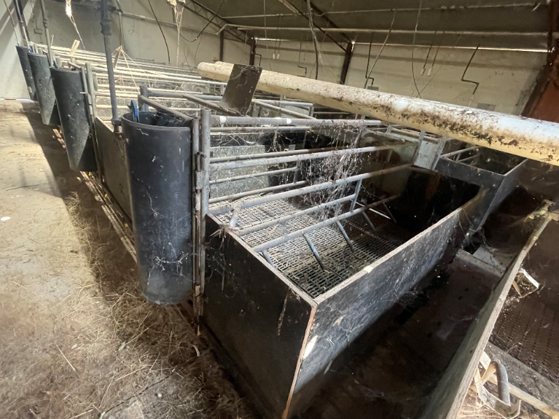 Lot 51 - 12 Farrowing crates on plastic tiles and fibreglass supports ...
