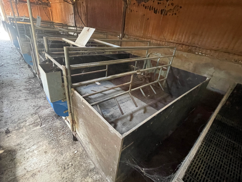 Lot 52 - 15 farrowing crates on timber flooring covered with stock ...