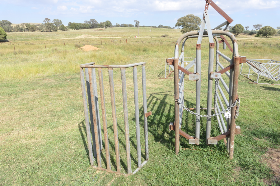 Lot 36 - CATTLE CRUSH WITH HEAD BALE | AuctionsPlus