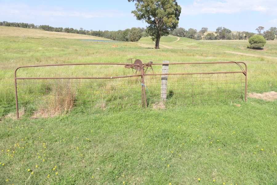 Lot 52 - GATES 10FT HEAVY DUTY X 2 | AuctionsPlus