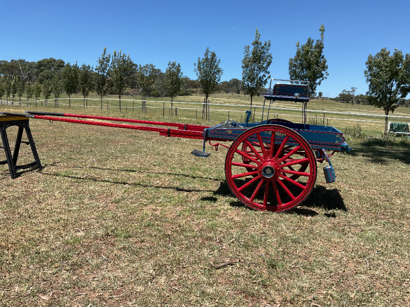 Lot 46 - Pony Break | AuctionsPlus