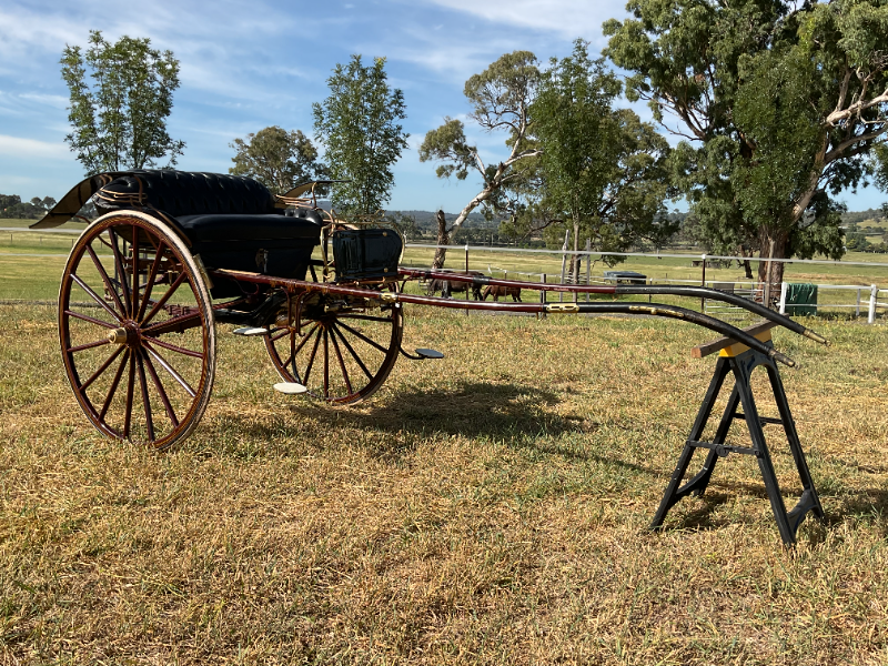 Lot 59 - Frank O'Neil Sydney Brass Show Sulky | AuctionsPlus