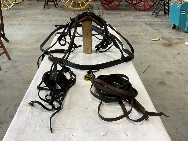 Lot 127 - Pony Harness | AuctionsPlus