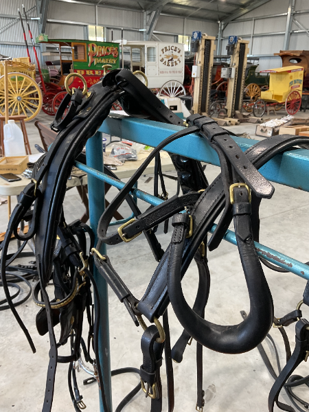 Lot 128 - Pony Harness | AuctionsPlus