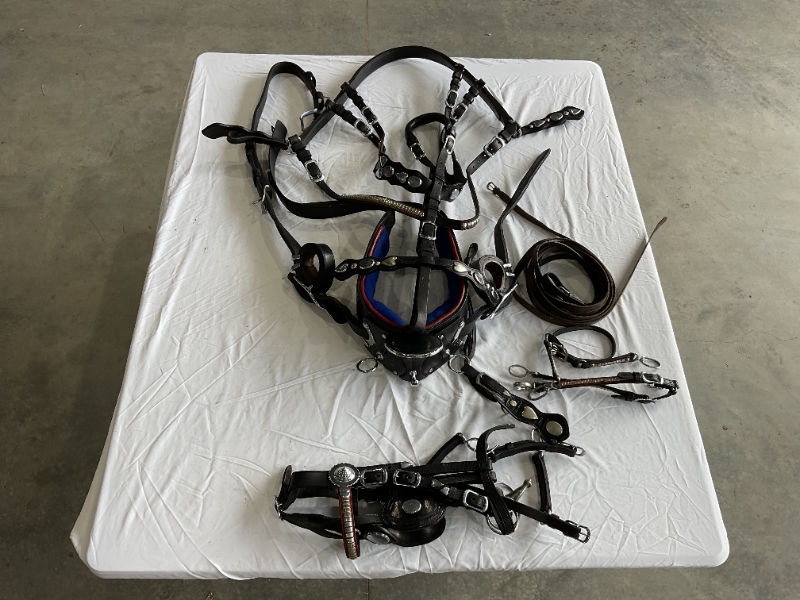 Lot 122 - Delivery Harness | AuctionsPlus