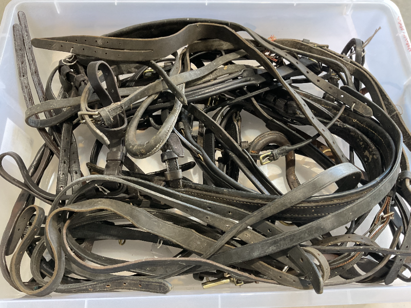 Lot 238 - Misc Harness | AuctionsPlus