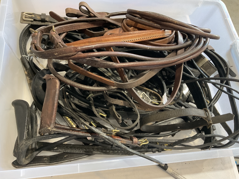 Lot 239 - Misc. Harness | AuctionsPlus