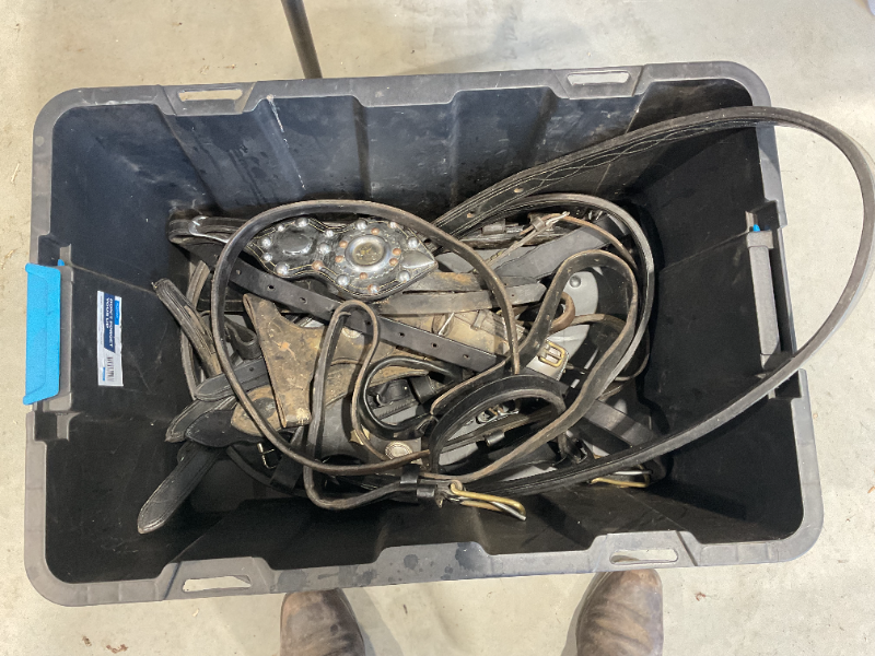 Lot 241 - Misc harness heavy | AuctionsPlus