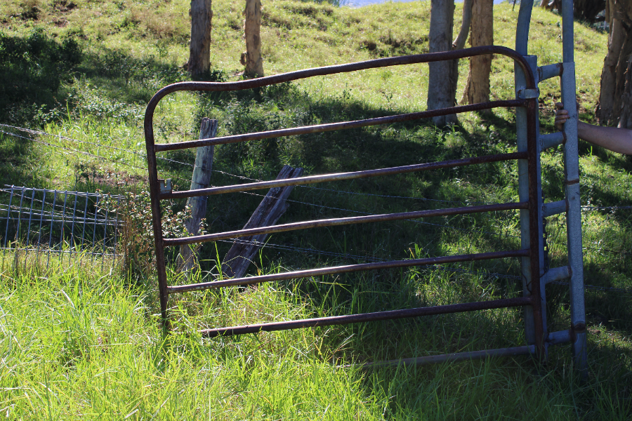 Lot 75 - Gate - 1.5m | AuctionsPlus