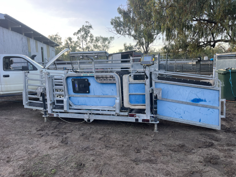 Lot 7 - Clipex Small Stock Handler | AuctionsPlus