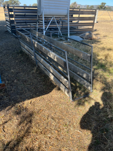 Lot 54 - Sheep Loading Race | AuctionsPlus