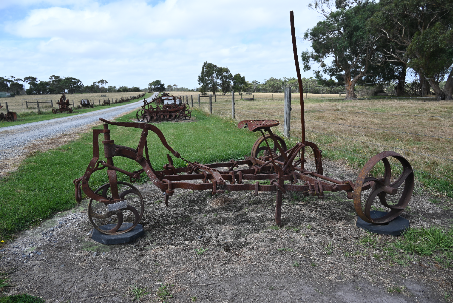 Lot 9 - Ripper | AuctionsPlus