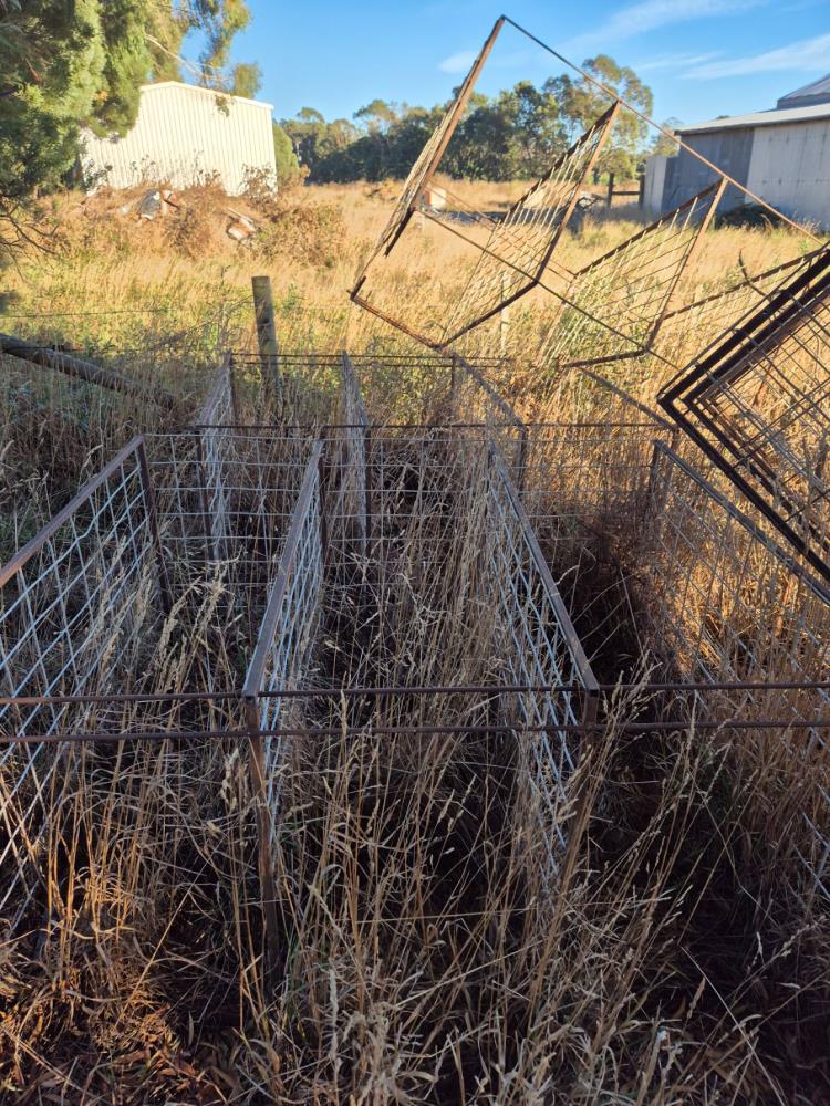 Lot 27 - 4x Single Calf Pens | AuctionsPlus