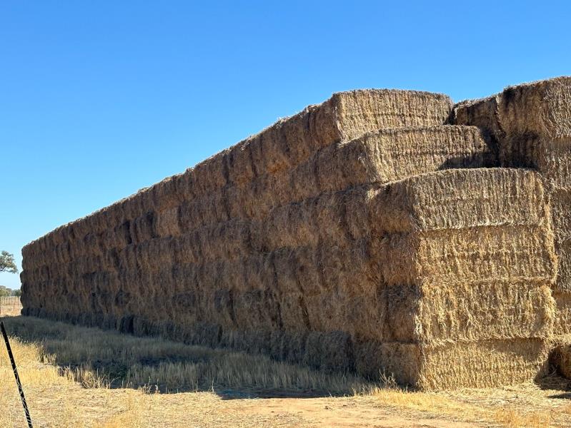 Lot 172 - Dropdeck load of Vetch/Cereal/Rye 8x4x3 - 42 Bales | AuctionsPlus