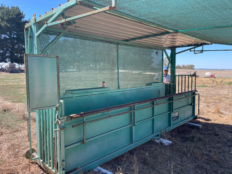 Lot 31 - Sheep Lifter | AuctionsPlus