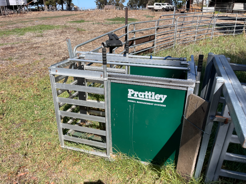 Lot 36 - Sheep Crate | AuctionsPlus