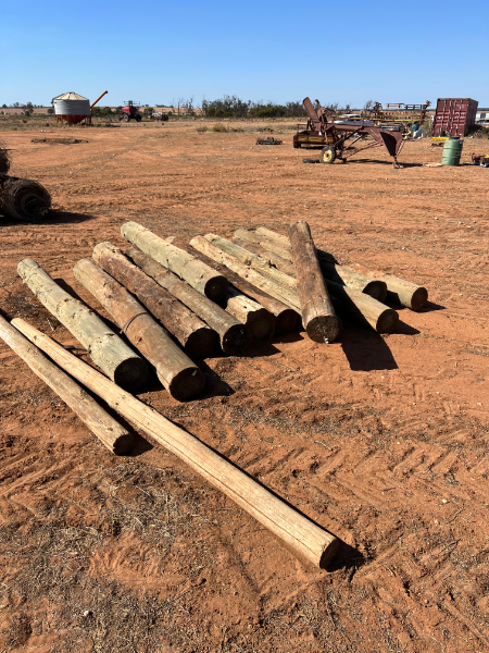 Lot 31 - 14 x 9ft, 9”-10”pine strainer posts | AuctionsPlus