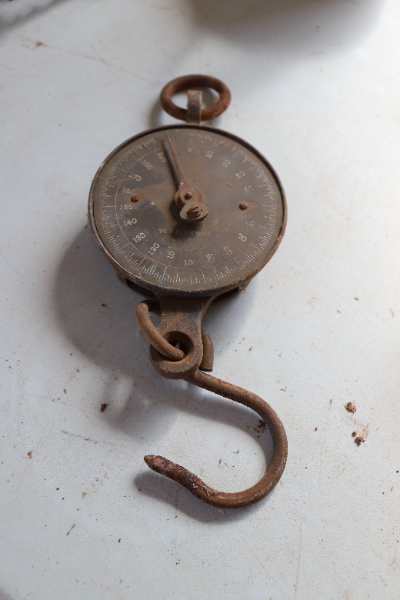 Lot 180 - Antique Hanging Scales | AuctionsPlus