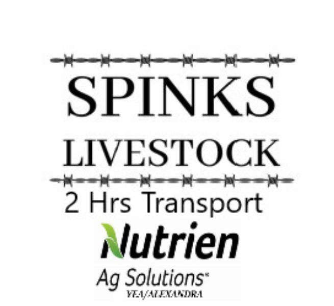 Lot 16 - Spinks Livestock | AuctionsPlus