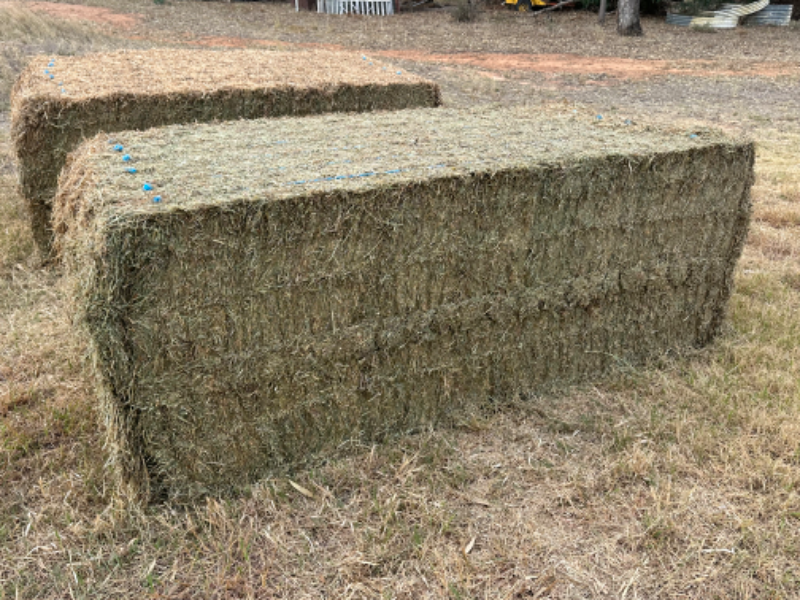 AUCTIONSPLUS MULTI-VENDOR FODDER AUCTION - Auction 349 | AuctionsPlus