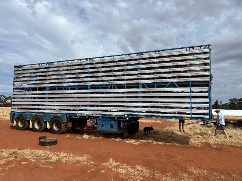 Lot 4 - Shanks Trailers 4 Deck Stock Crate | AuctionsPlus
