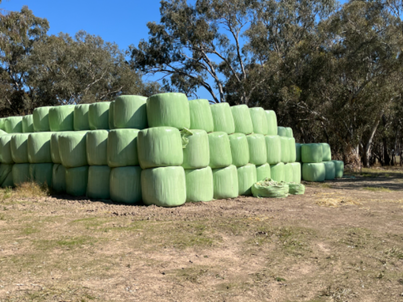 Lot 116 - B-Double load of Annual Ryegrass 4x4 Silage Rolls | AuctionsPlus