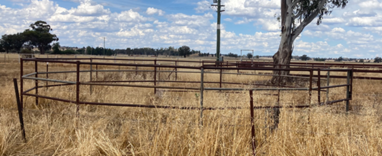 Lot 49 - Holding Yard. | AuctionsPlus