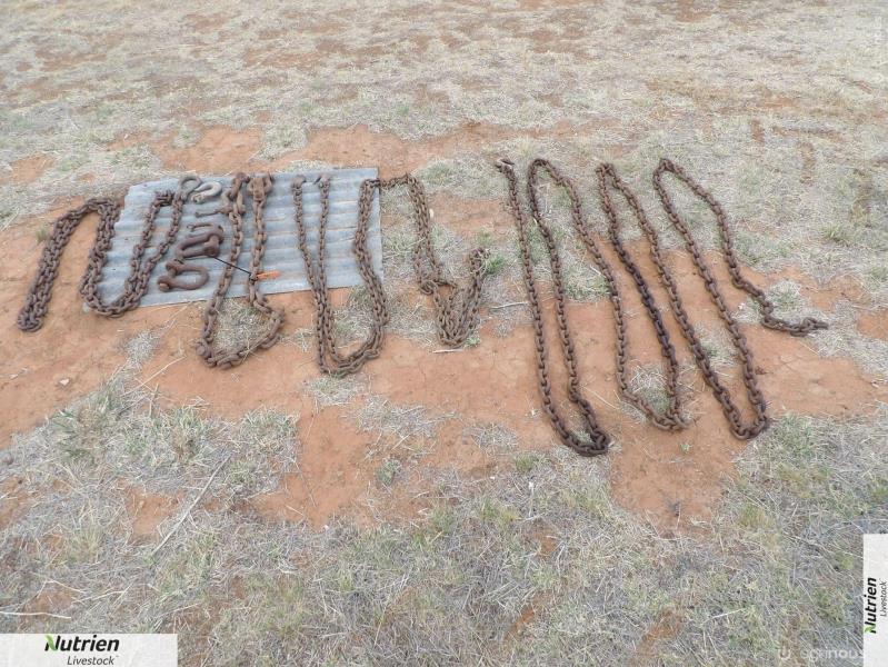 Lot 121 - Assorted Chains & Shackles | AuctionsPlus