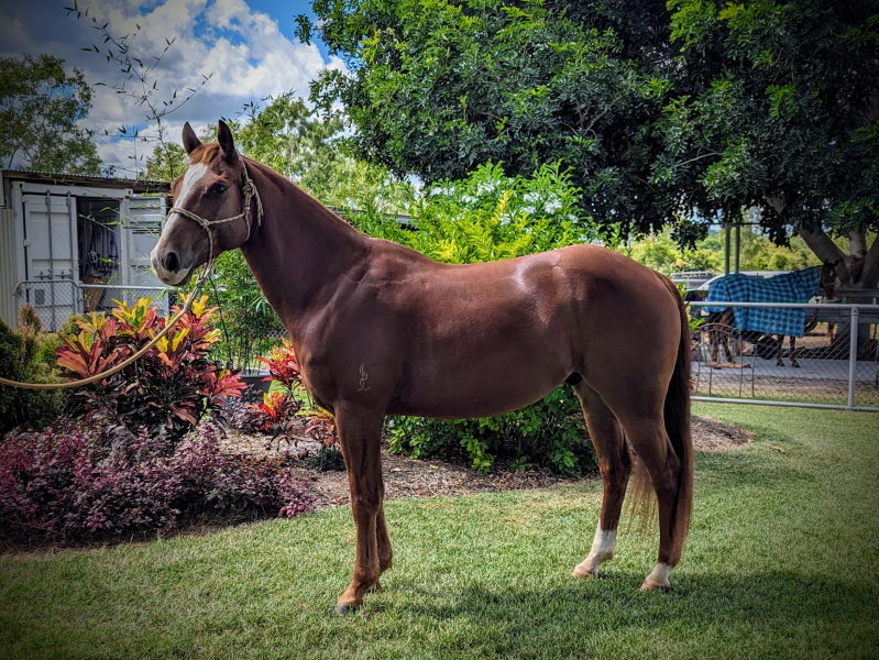 Lot 76 - RT FUNK | AuctionsPlus