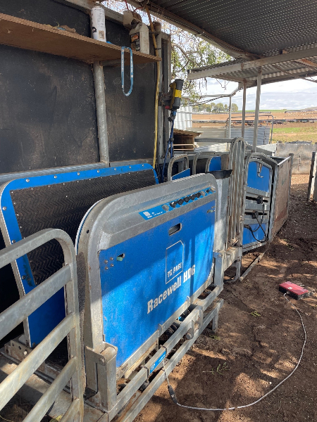 Lot 31 - Te Pari Sheep Handler | AuctionsPlus