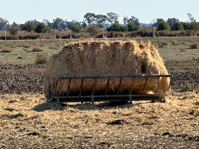 Lot 41 - Hay Feeder | AuctionsPlus