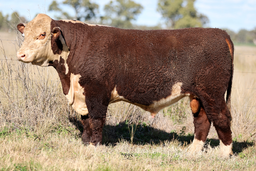 Lot 27 - RAYLEIGH TAUNTON T124 (PP) | AuctionsPlus