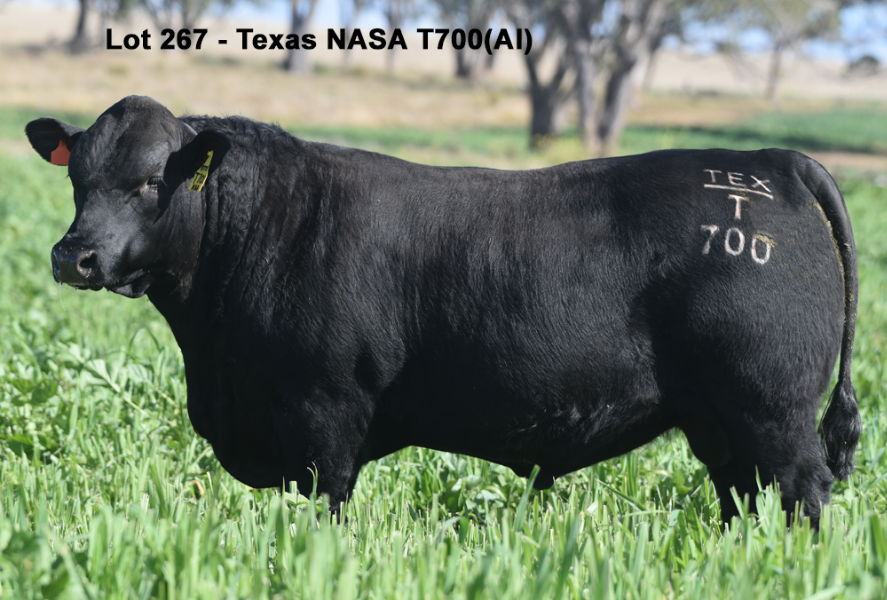 Lot 267 - TEXAS NASA T700 | AuctionsPlus