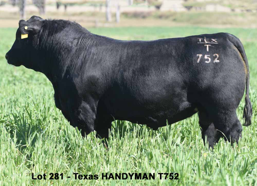 Lot 281 - TEXAS HANDYMAN T752 | AuctionsPlus