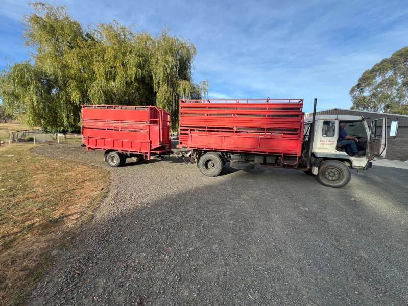 Lot 28 - Custom Built Stock Tipper Trailer w/ Removable Double Deck ...