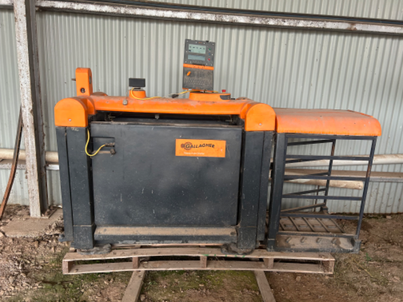 Lot 67 - Gallagher Sheep Auto Drafter and Monitor | AuctionsPlus