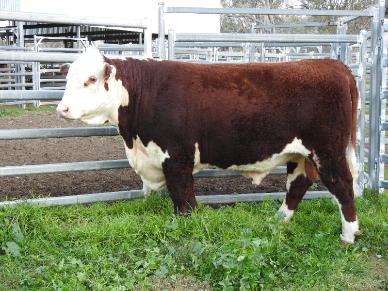 Lot 44 - SWANVALE TITAN T210 (AI) (PP) | AuctionsPlus